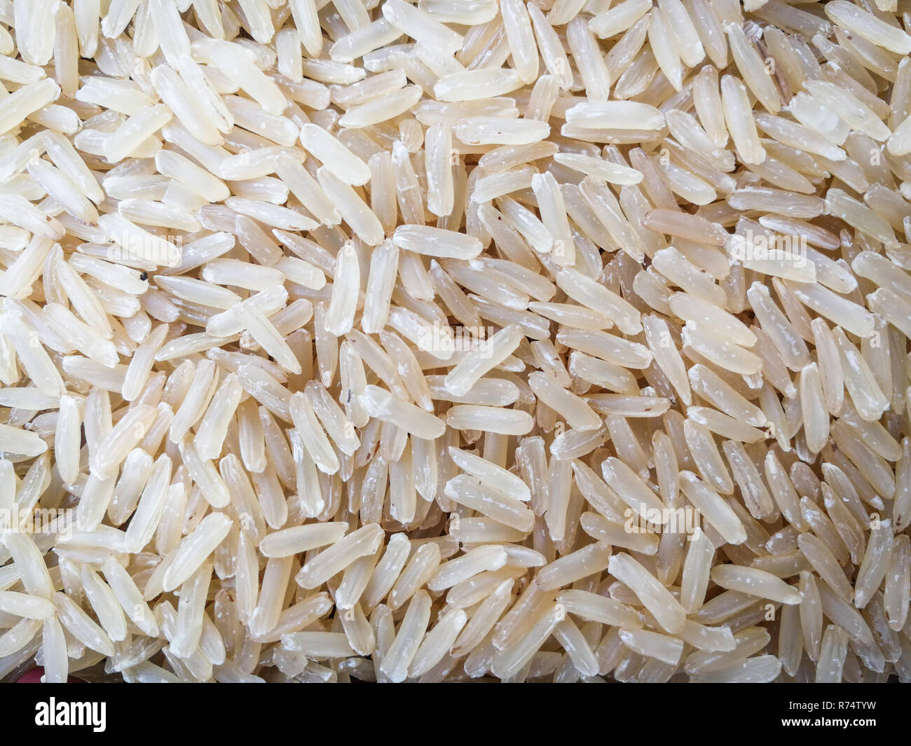 rice background / Thai brown rice agricultural produce with rice ...