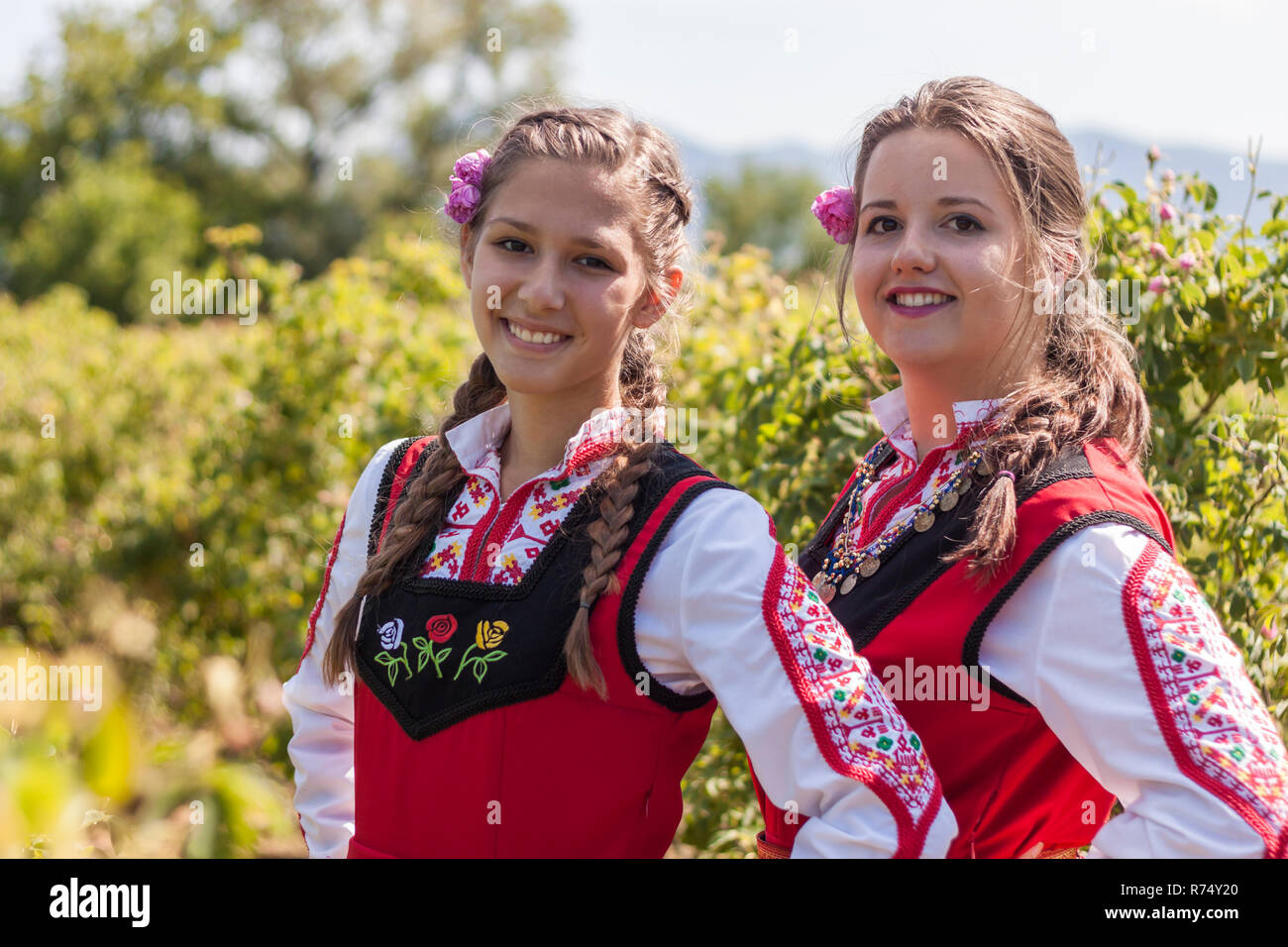 ROZOVO, BULGARIA - JUNE 06, 2015 - Rose picking ritual in Rozovo ...