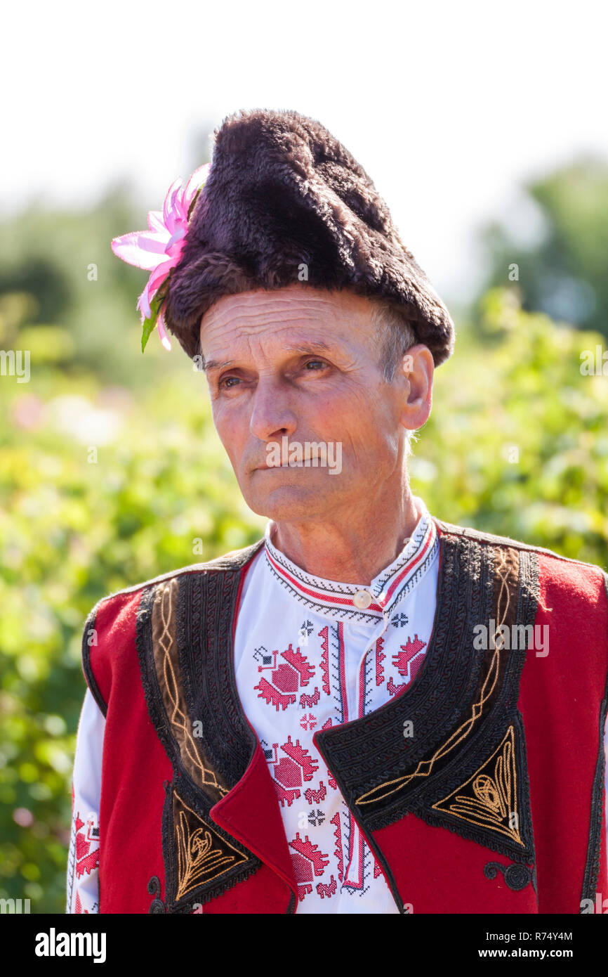 ROZOVO, BULGARIA - JUNE 06, 2015 - Rose picking ritual in Rozovo ...