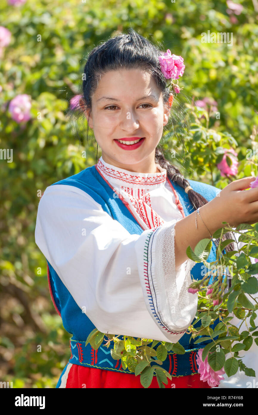 ROZOVO, BULGARIA - JUNE 06, 2015 - Rose picking ritual in Rozovo ...