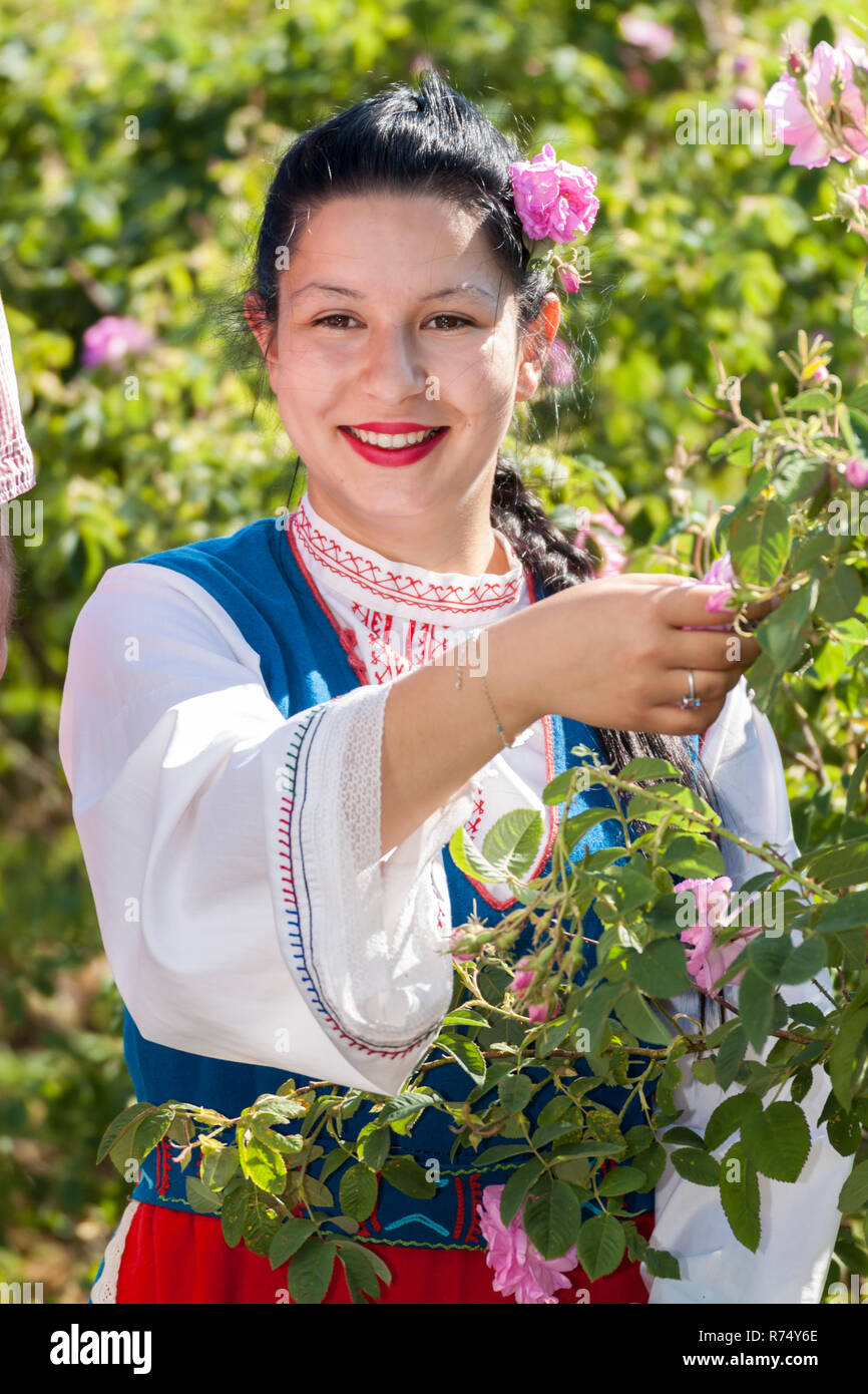ROZOVO, BULGARIA - JUNE 06, 2015 - Rose picking ritual in Rozovo ...