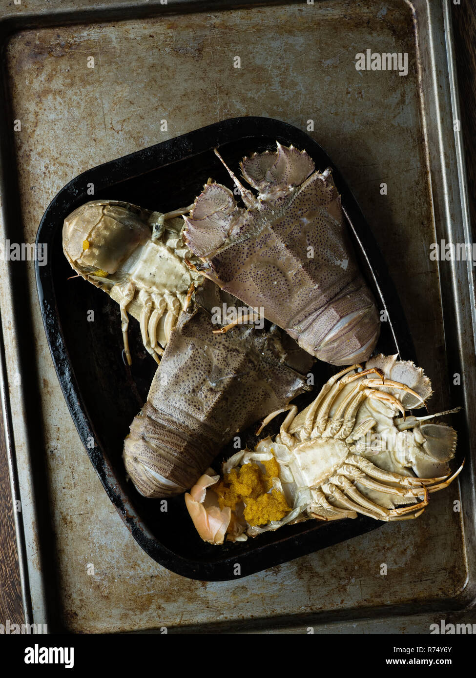 Moreton bay bugs hi-res stock photography and images - Alamy