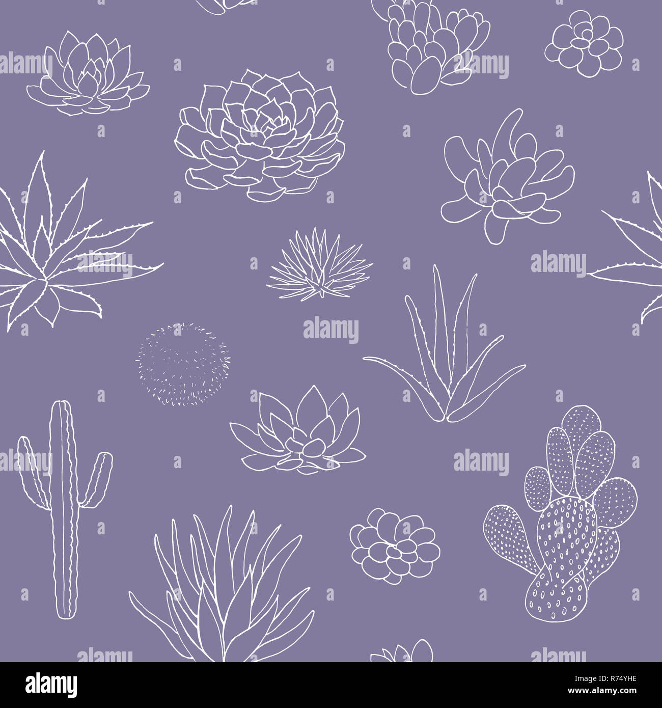 Succulent seamless pattern, hand drawn vector illustration. outline ...