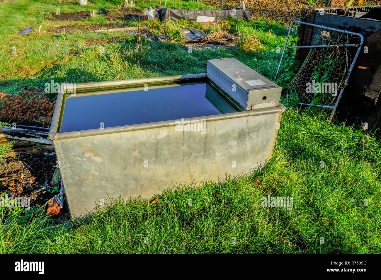 Full up metal water container in an allotments Stock Photo - Alamy