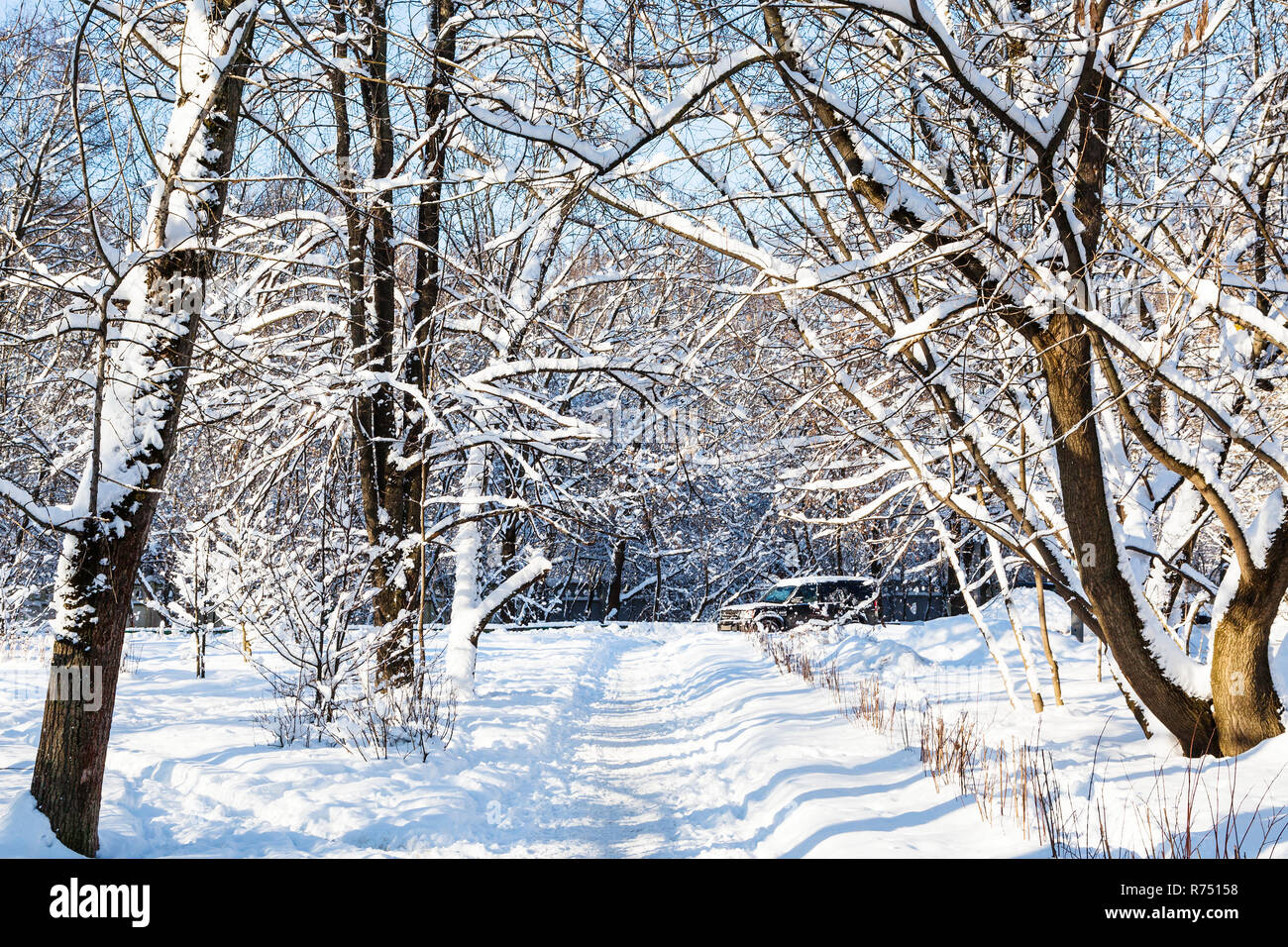 snow-covered path to urban park in winter Stock Photo - Alamy