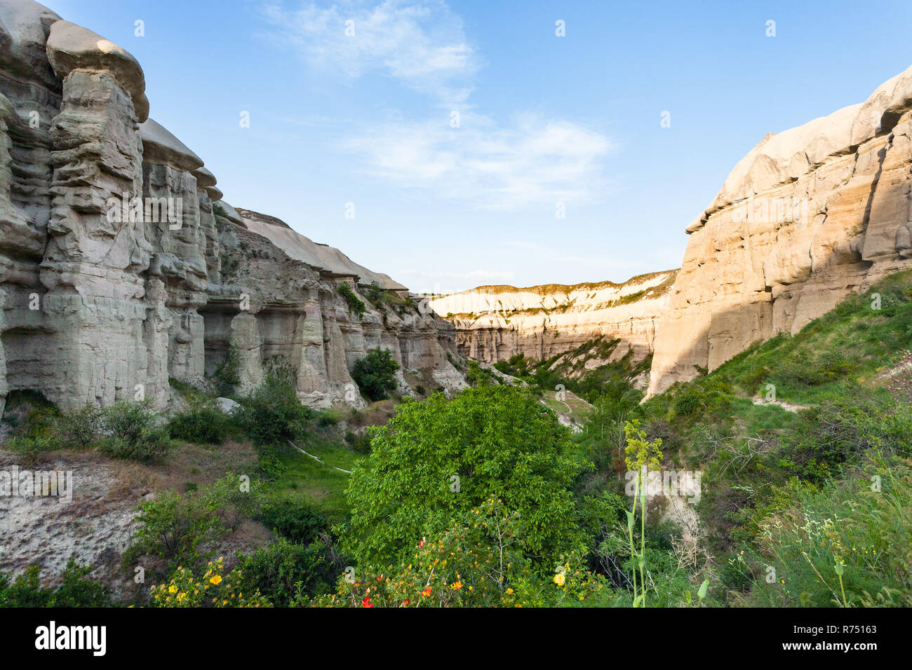 overgrown gorge near Goreme town in Cappadocia Stock Photo - Alamy