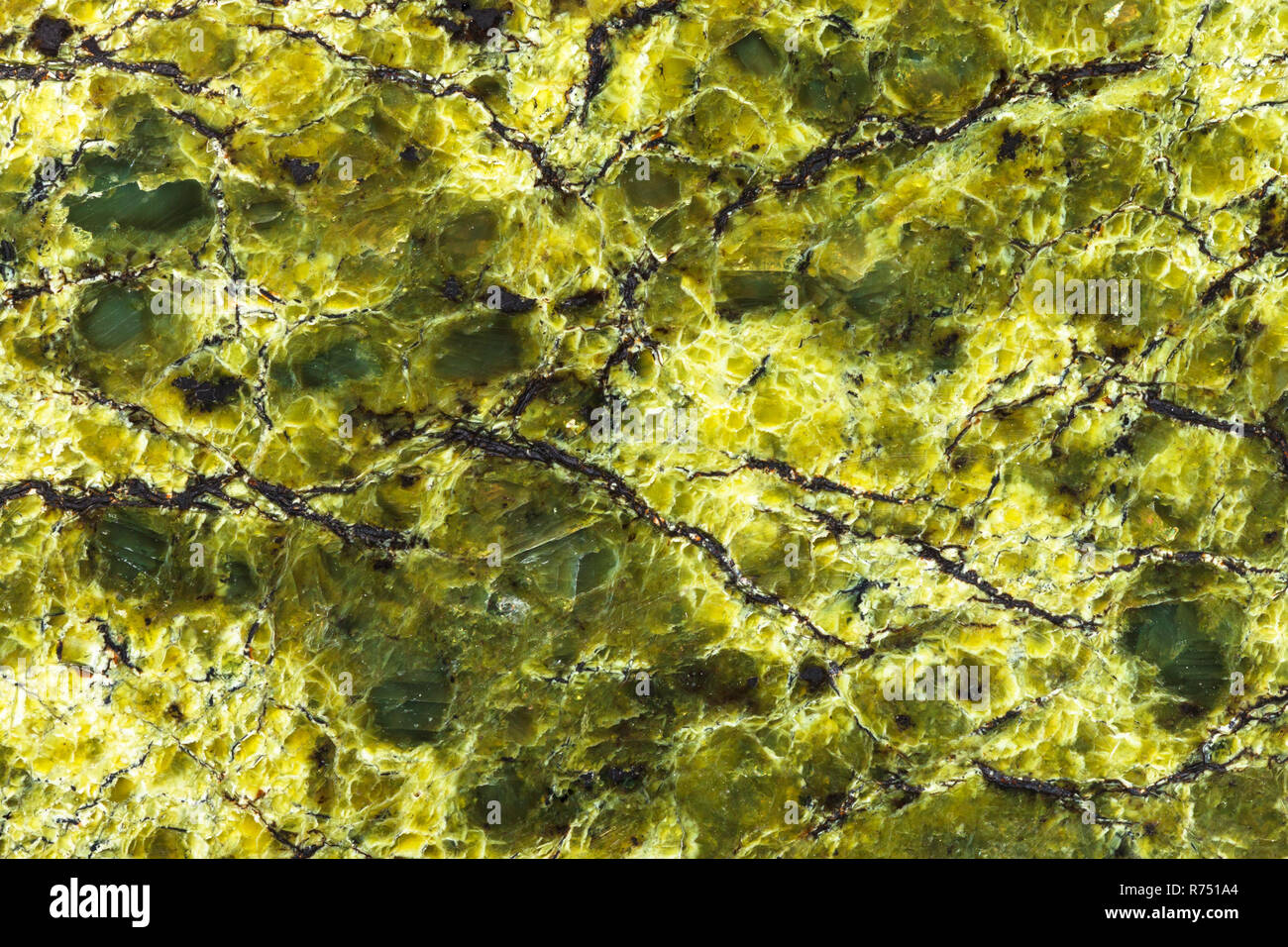 background from polished lizardite natural stone Stock Photo - Alamy