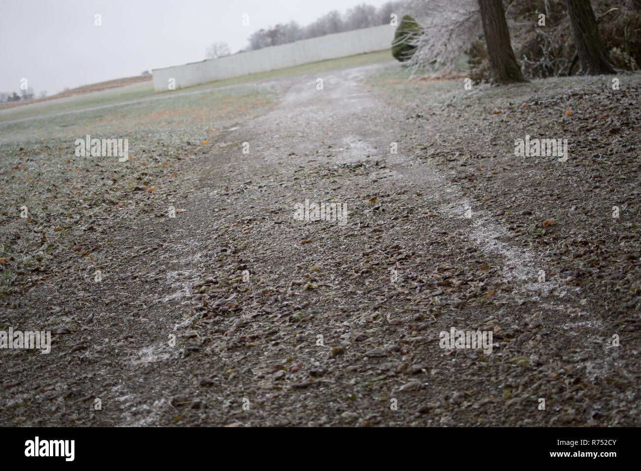 A dirt path with tracks being outlined in ice Stock Photo - Alamy