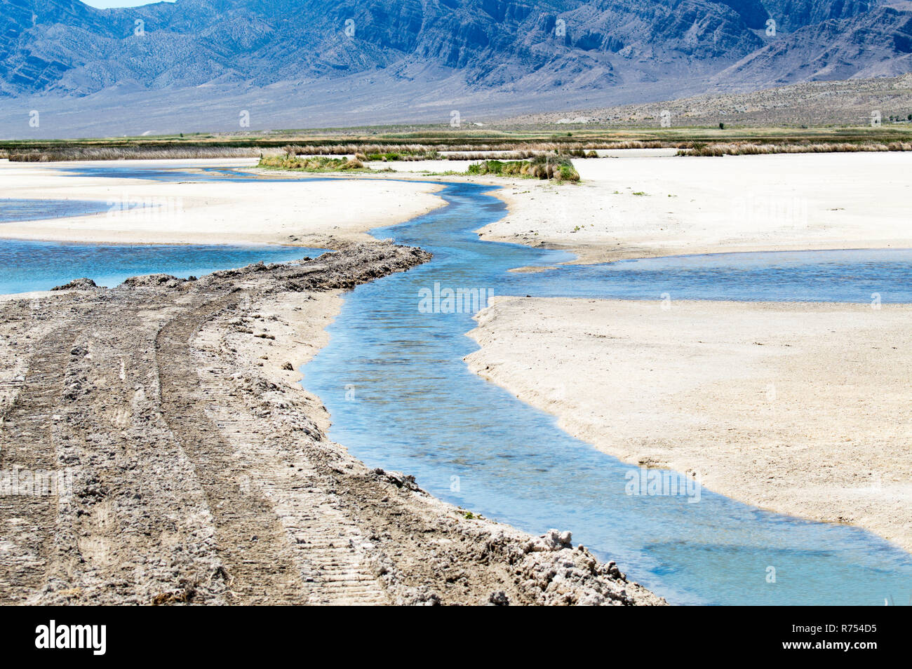 A muddy path through marshy water at Fish Springs Park Utah Stock Photo ...