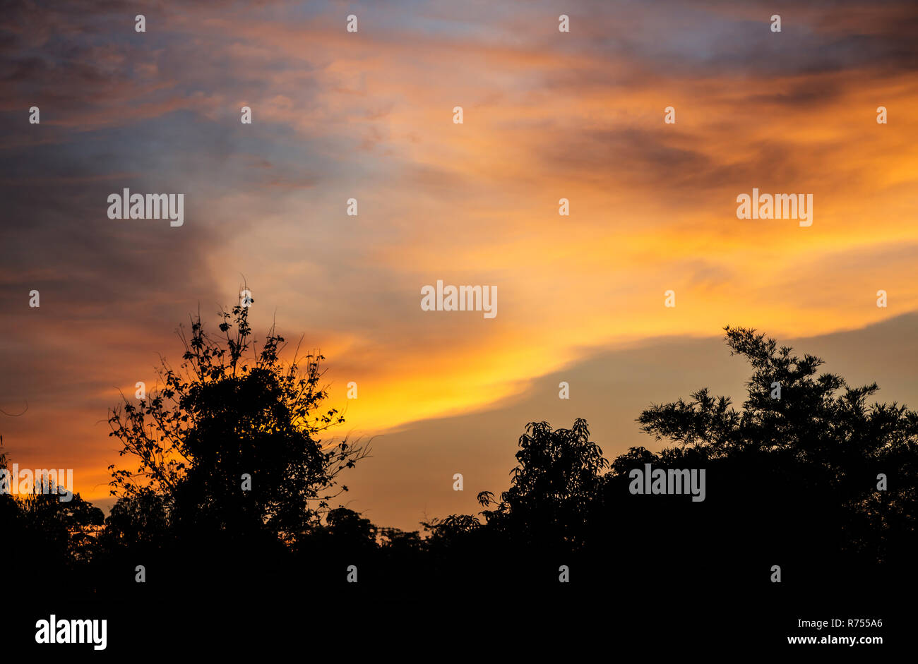 Evening sky background Stock Photo - Alamy
