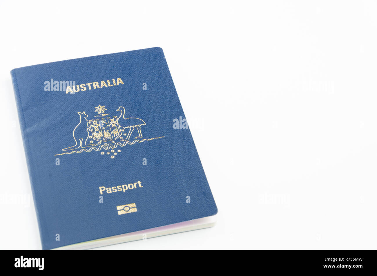 How To Take A Perfect Passport Background White Photo