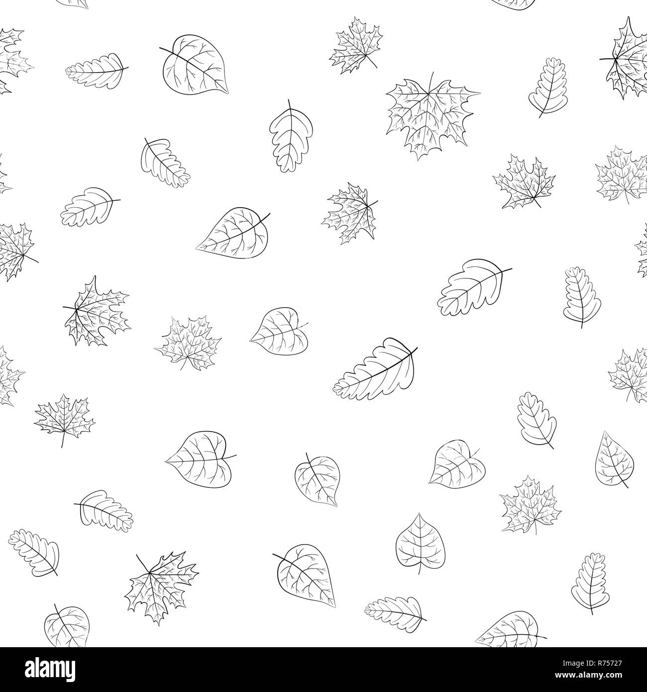 Leaves pattern autumn project Black and White Stock Photos & Images - Alamy