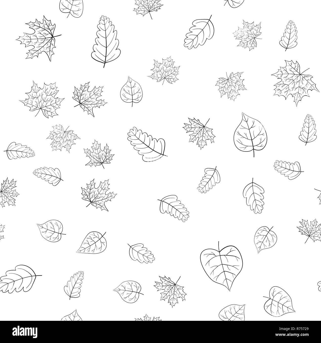 Leaves pattern autumn project Black and White Stock Photos & Images - Alamy
