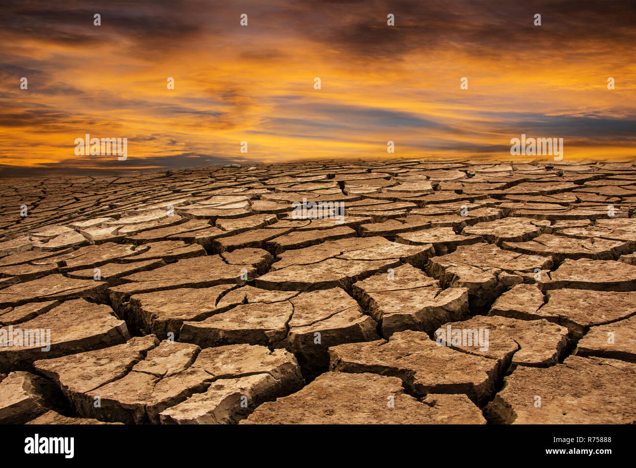 Cracked Desert Landscape