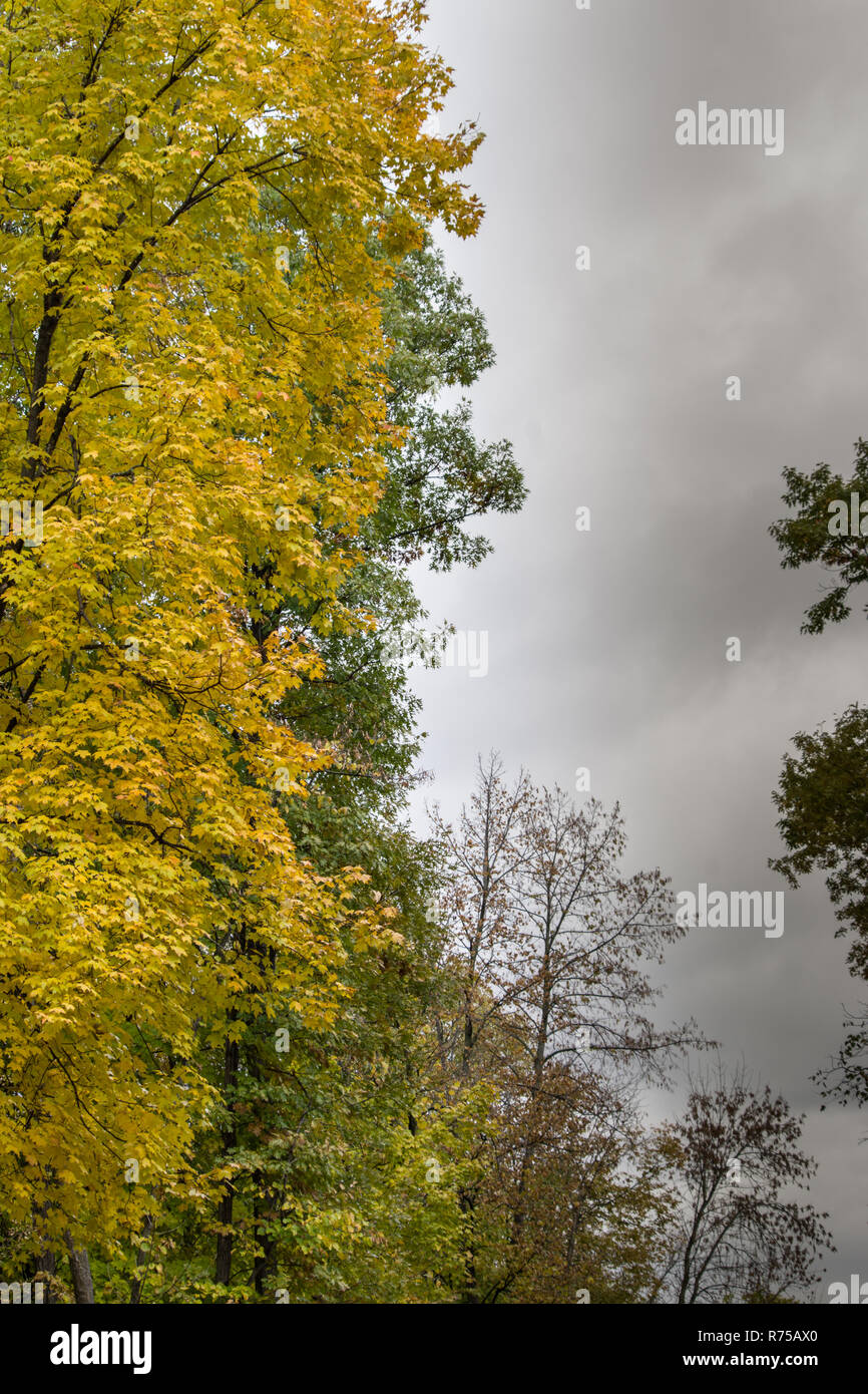 Midwest colors in autumn hi-res stock photography and images - Alamy