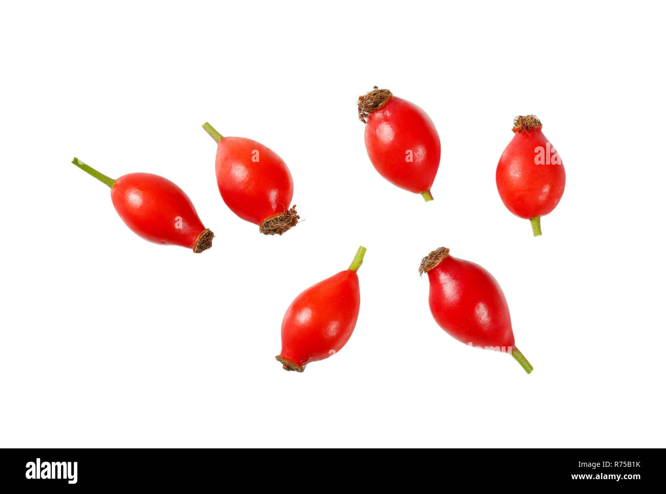 Rose hips overhead hi-res stock photography and images - Alamy