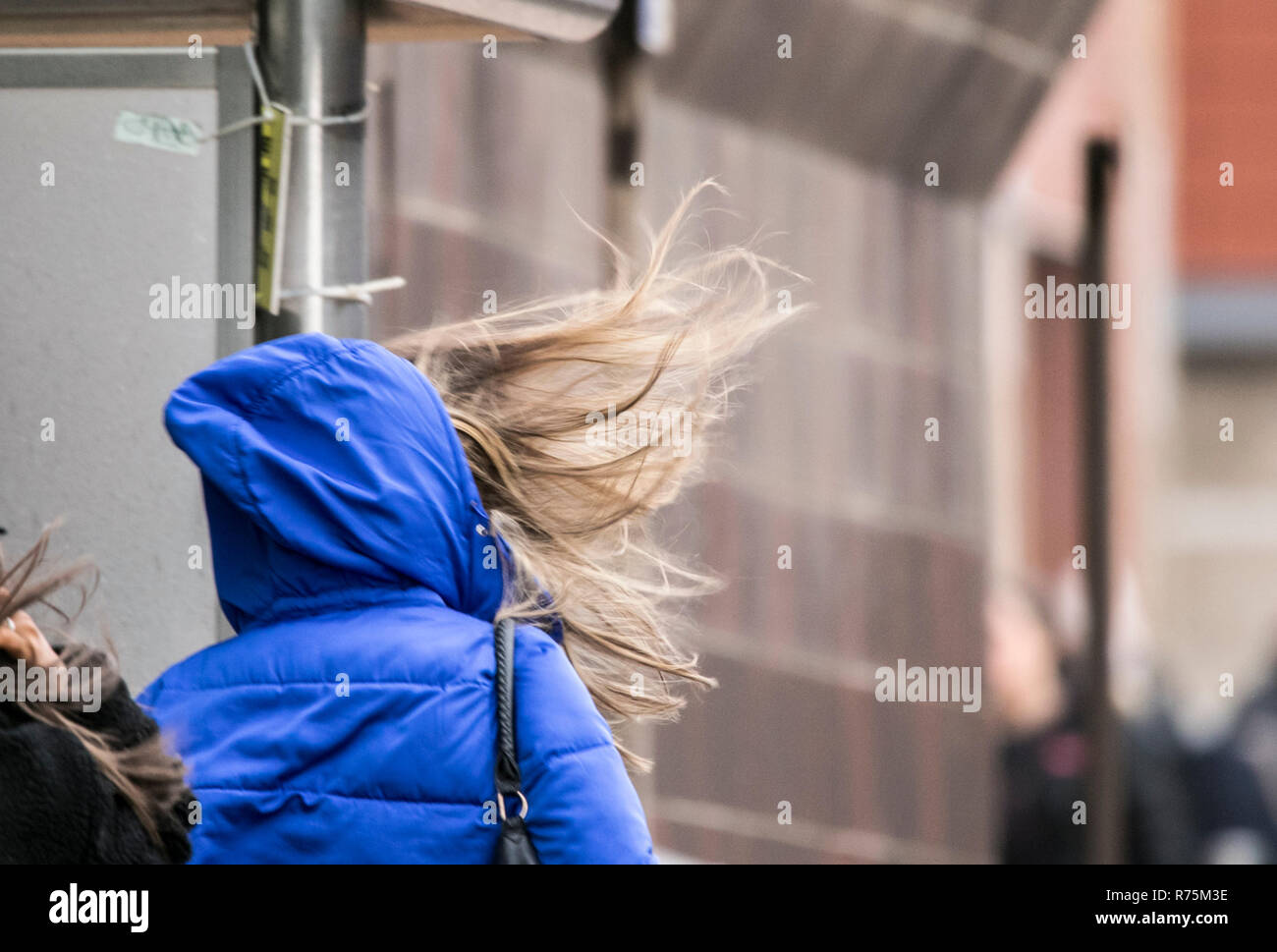 wind,hair,windswept,bad hair day,wind blown hair,long hair,female,face ...