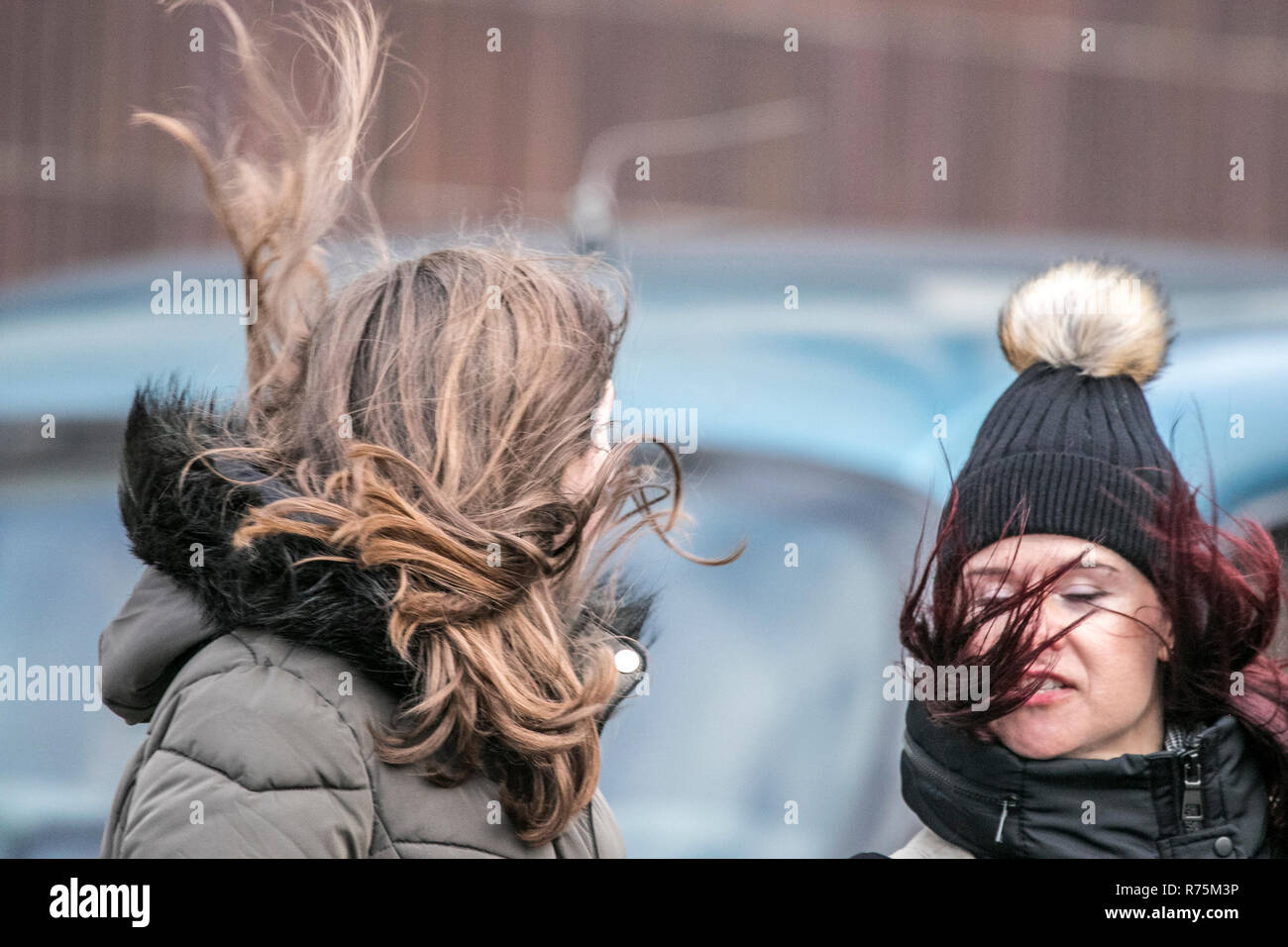 wind,hair,windswept,bad hair day,wind blown hair,long hair,female,face ...