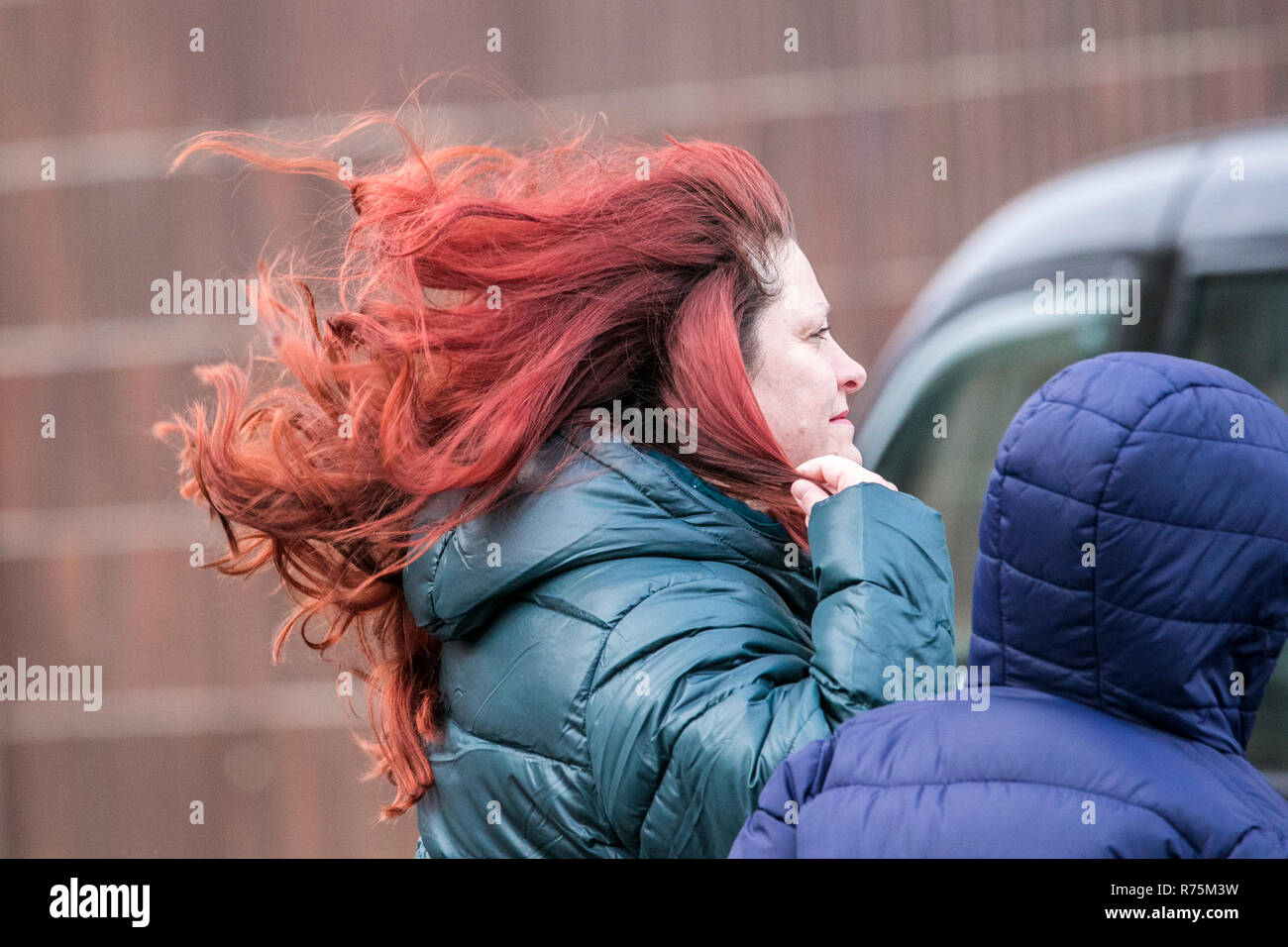 wind,hair,windswept,bad hair day,wind blown hair,long hair,female,face ...