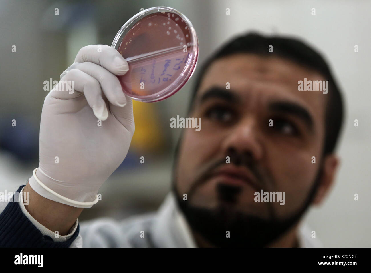 Gaza. 5th Dec, 2018. A Palestinian scientist works in a laboratory in ...