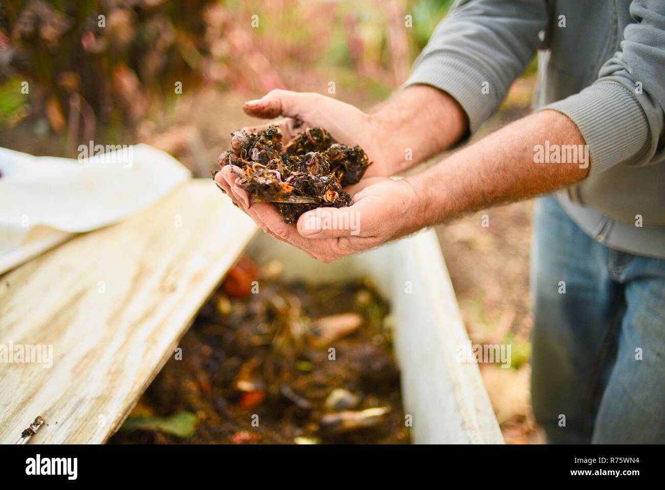 Soil worms hands hi-res stock photography and images - Alamy
