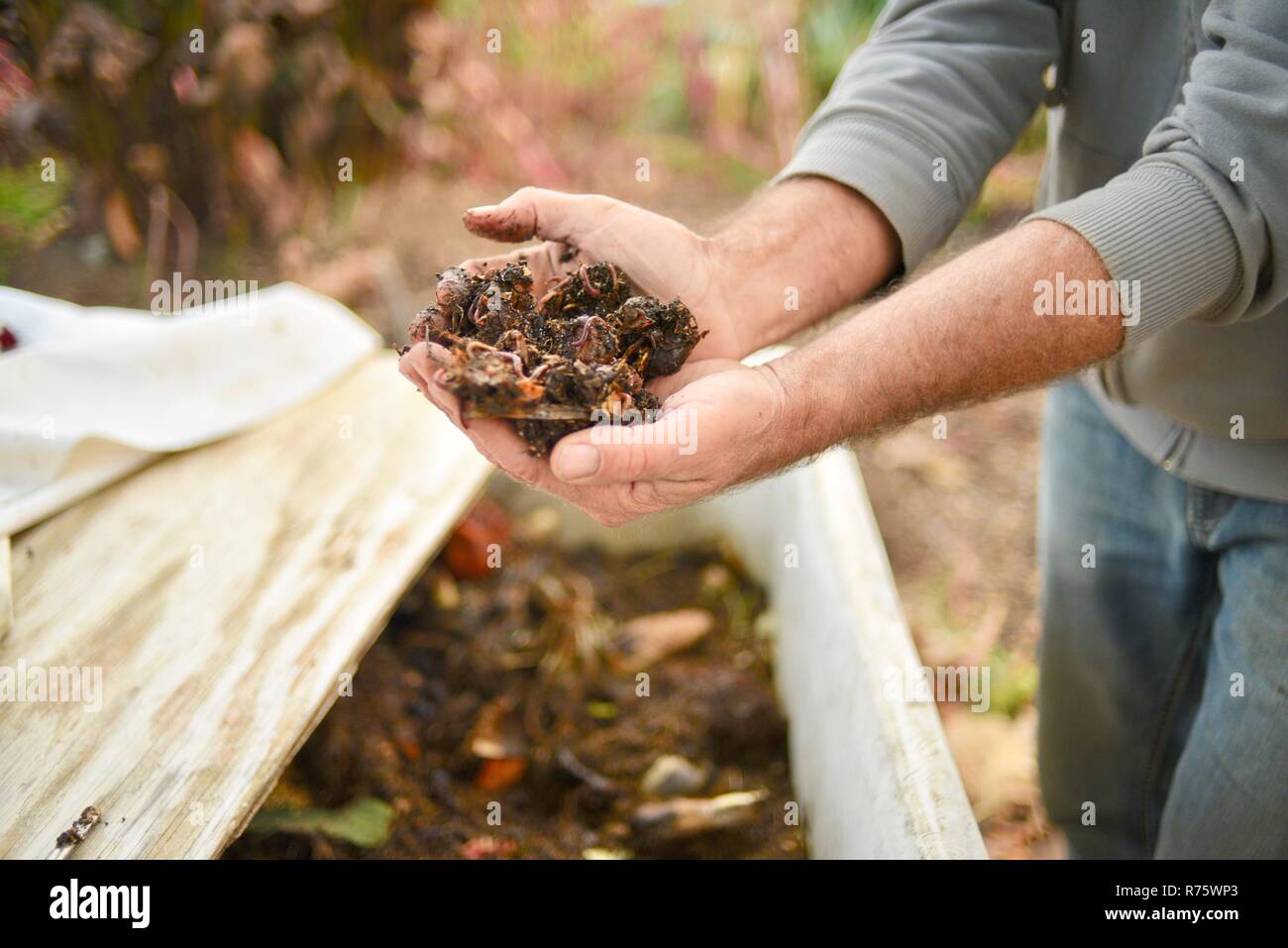 Bacterial decomposition hi-res stock photography and images - Alamy