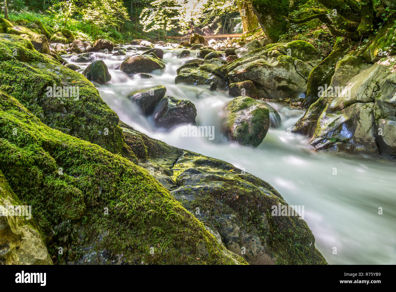 Beautiful stream over pretty green moss covered stones Stock Photo - Alamy