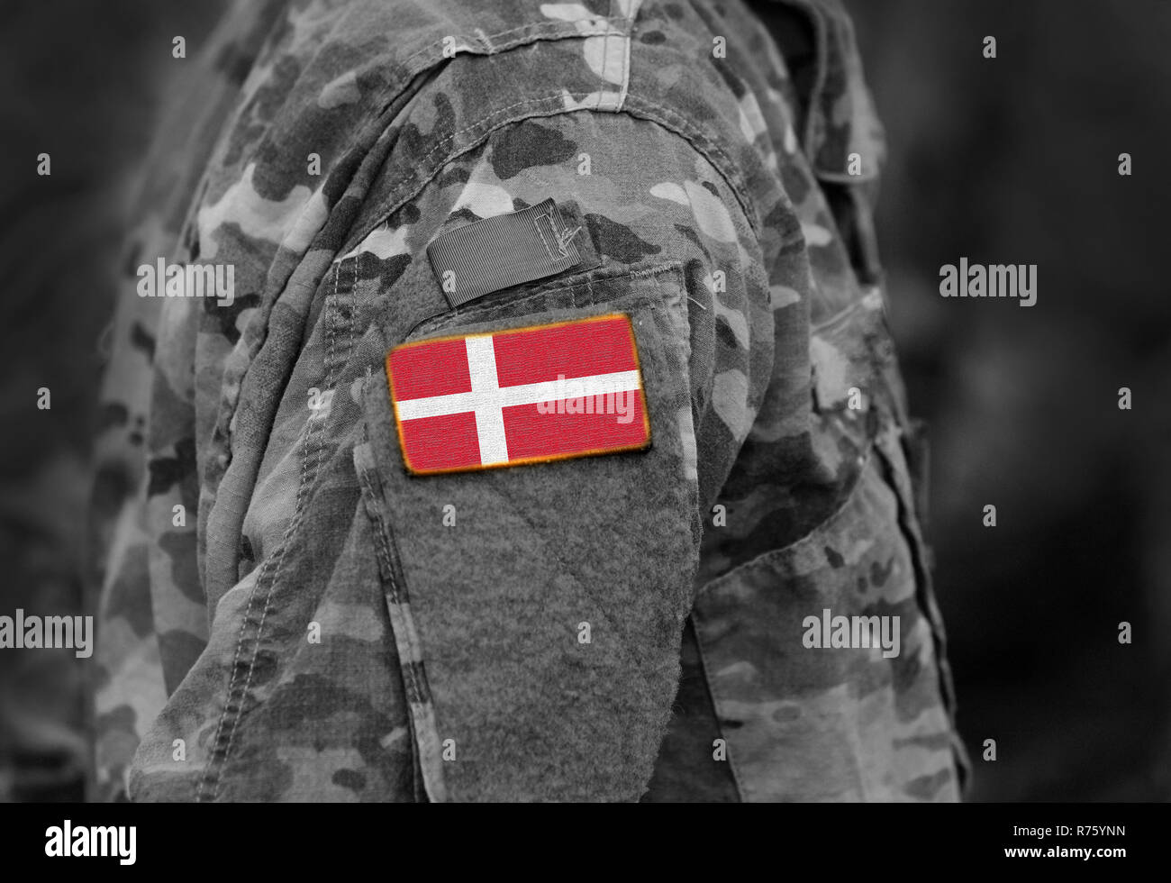 Flag of Denmark on soldiers arm. Flag of Denmark on military uniforms ...