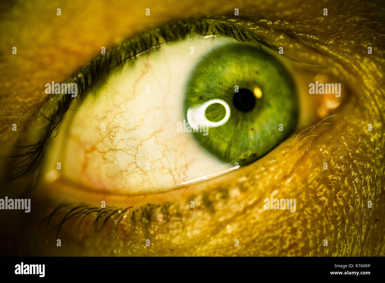 Human eye macro hi-res stock photography and images - Alamy