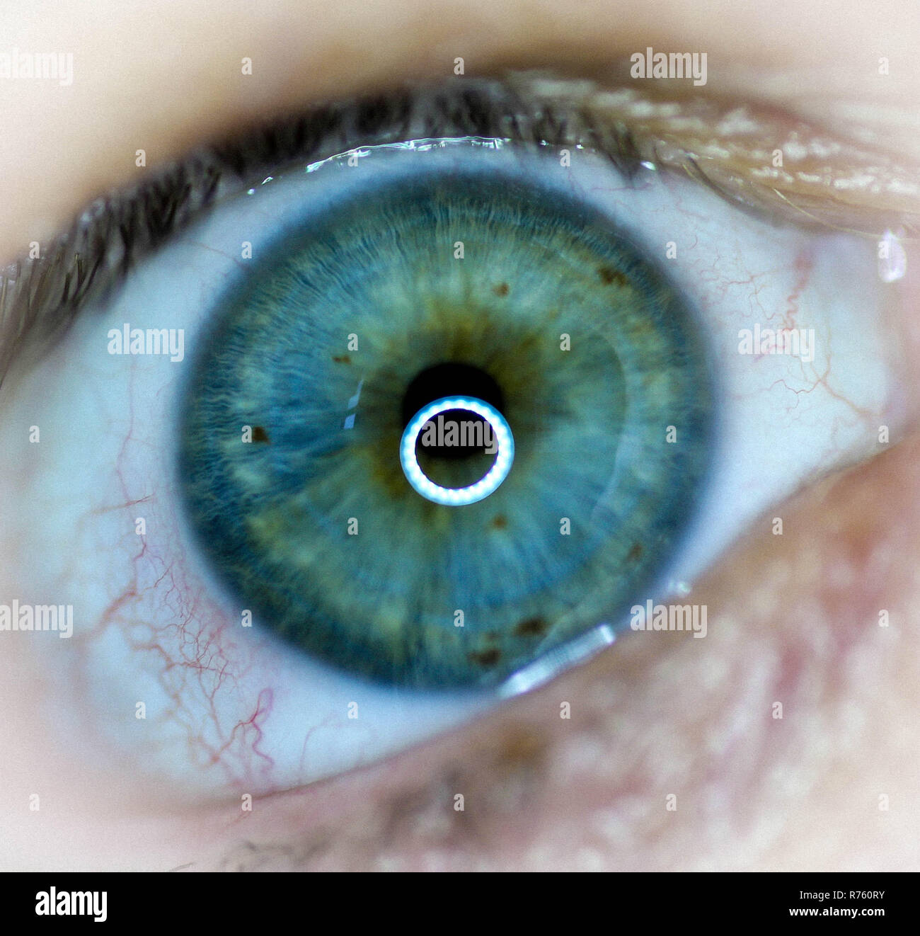 Human eye macro hi-res stock photography and images - Alamy