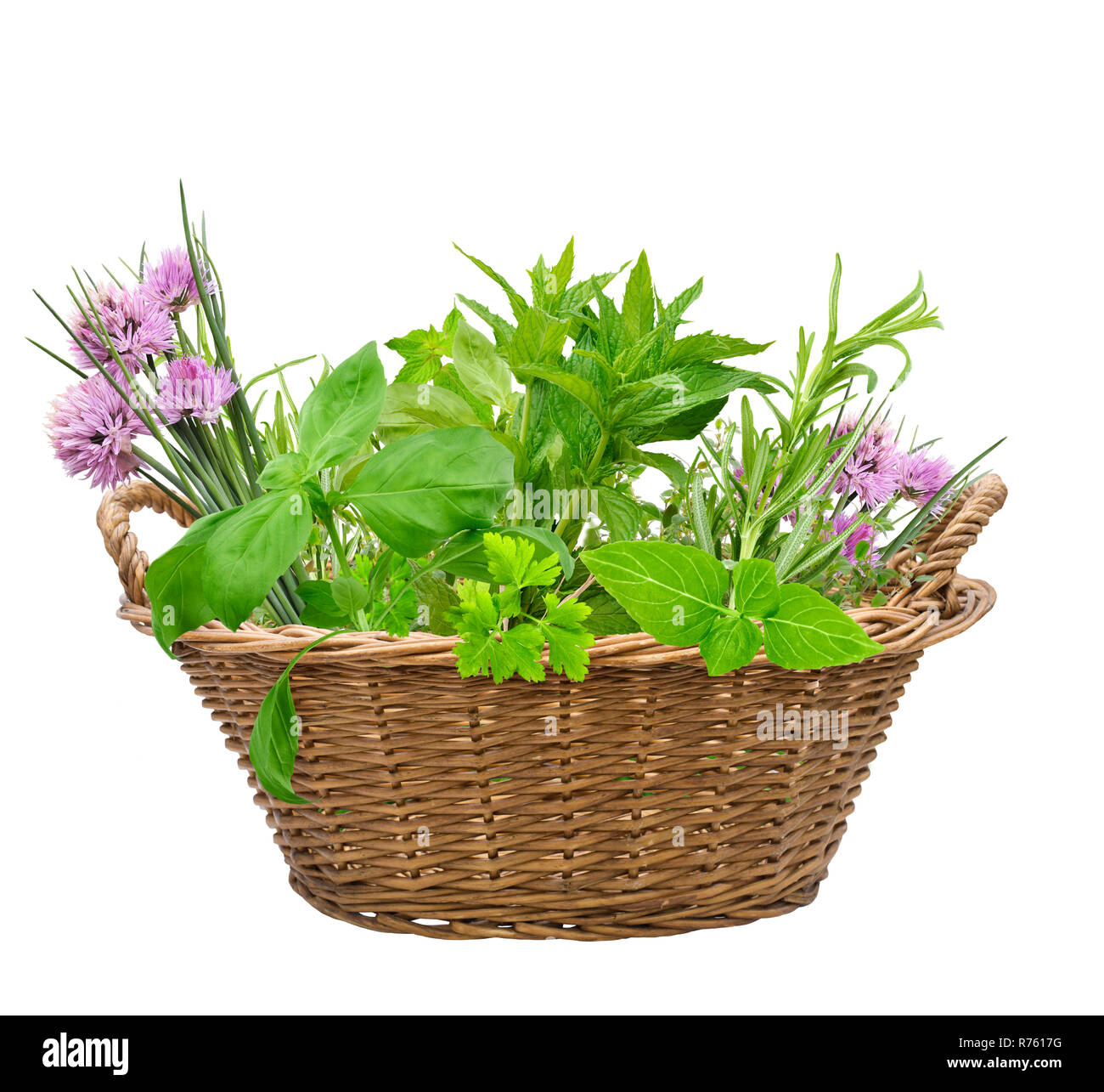 Collection fresh herbs in Cut Out Stock Images & Pictures - Alamy