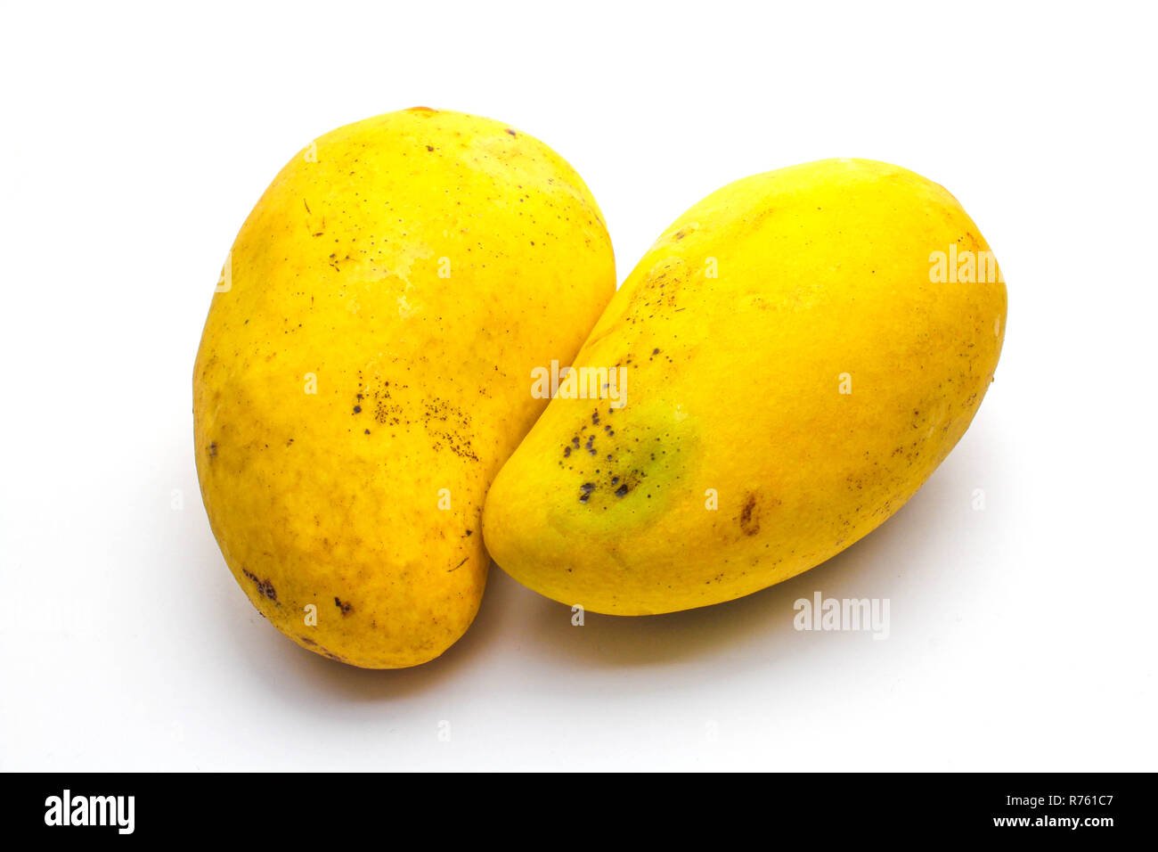 An isolated tropical mango Stock Photo - Alamy