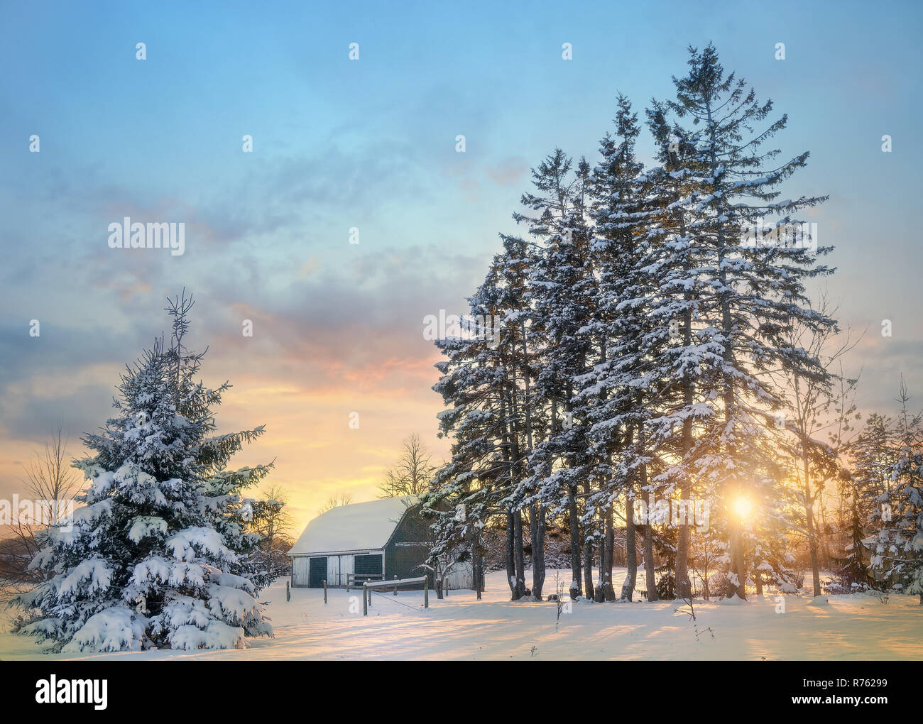Frozen ice on farm field hi-res stock photography and images - Alamy