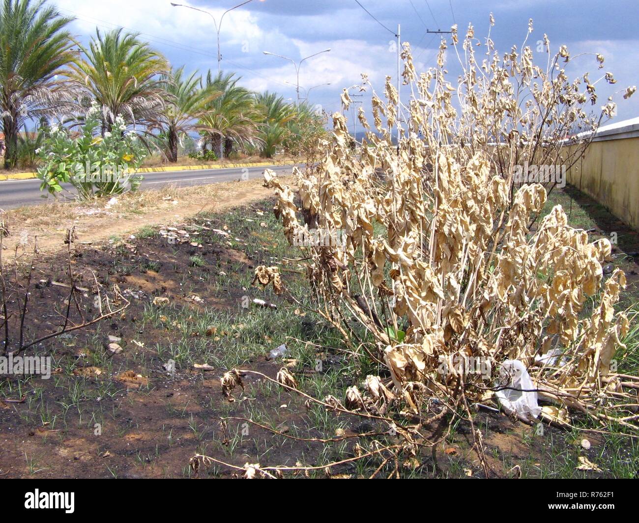Wasted soil hi-res stock photography and images - Alamy