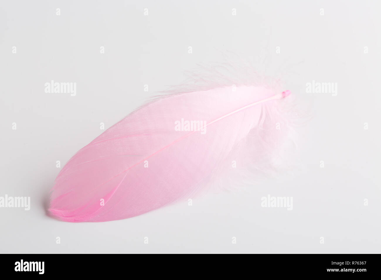 Pink feather hi-res stock photography and images - Alamy