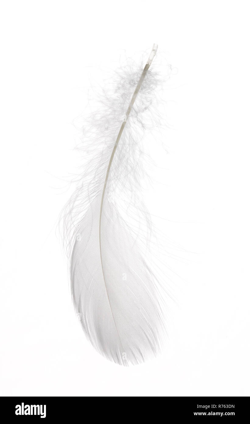 Concepts detail Cut Out Stock Images & Pictures - Alamy