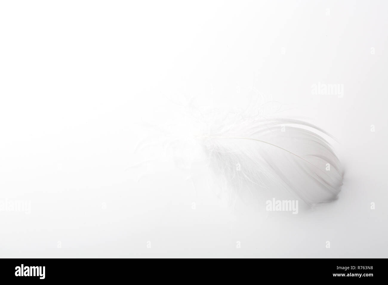 Fragile feather hi-res stock photography and images - Alamy