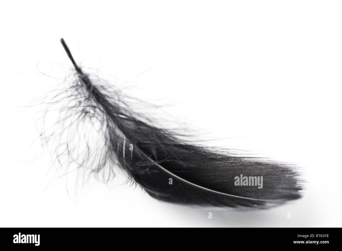 Black feathers falling Cut Out Stock Images & Pictures - Alamy