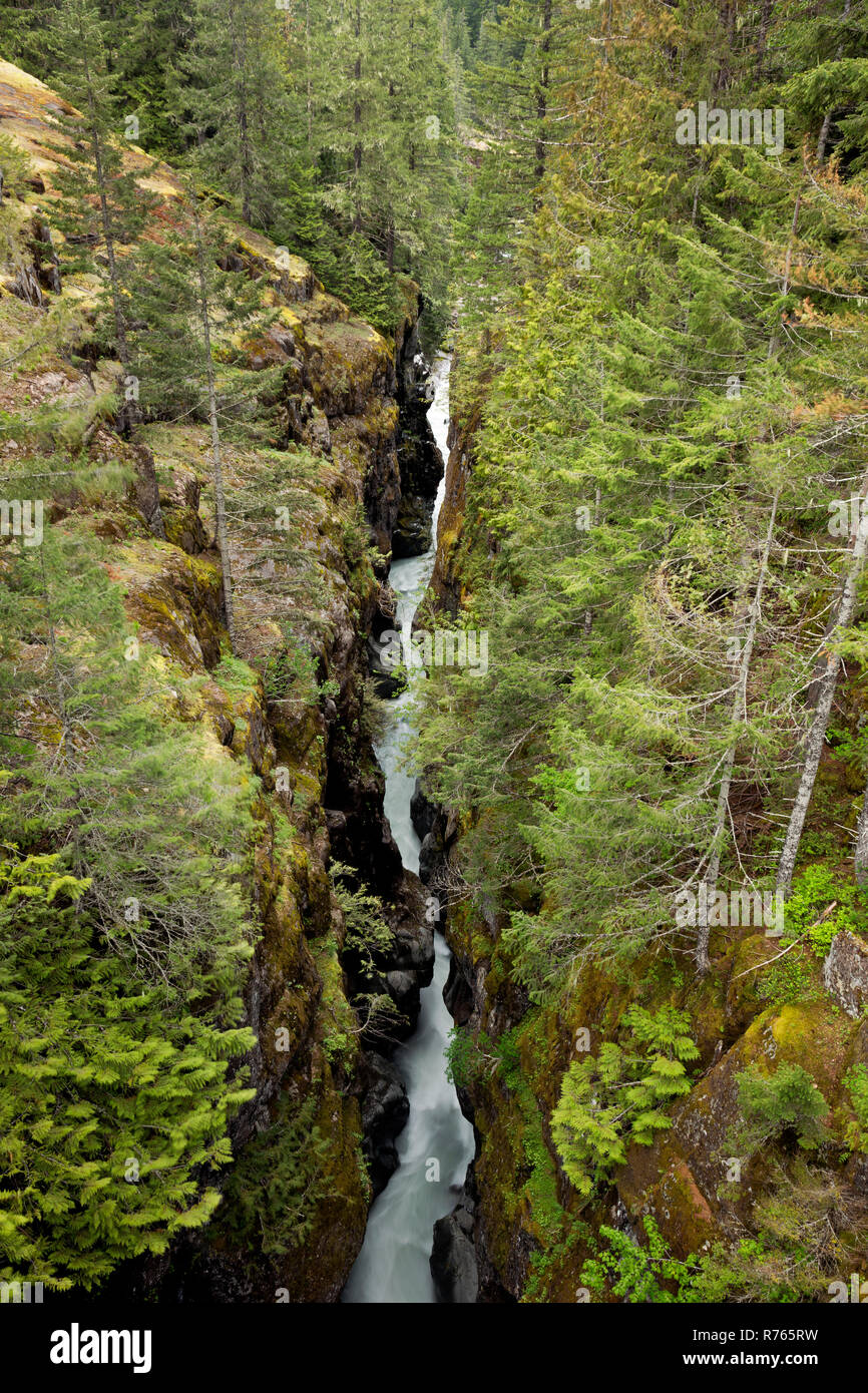 Cowlitz washington hi-res stock photography and images - Alamy