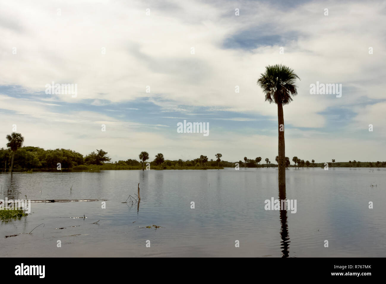 Zapata swamp national park hi-res stock photography and images - Alamy
