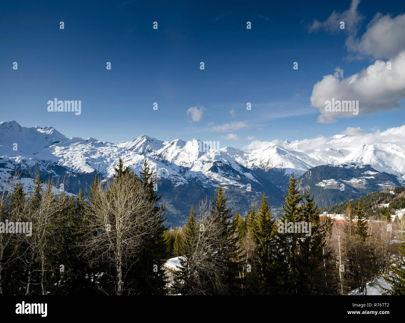 Les arcs france trees hi-res stock photography and images - Alamy