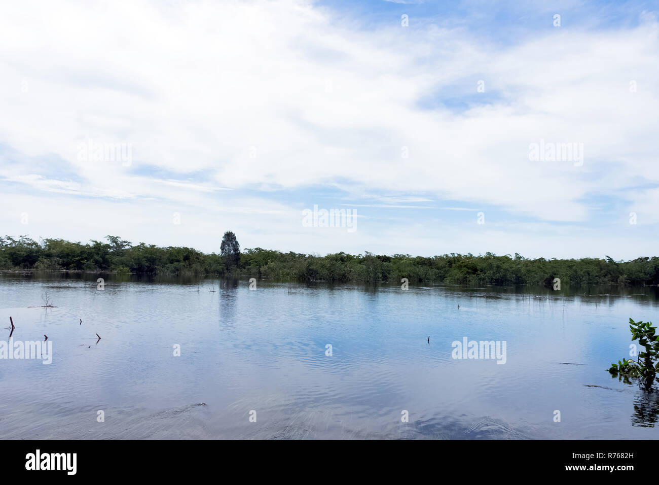 Cuban swamp - Peninsula de Zapata National Park / Zapata Swamp, Cuba ...