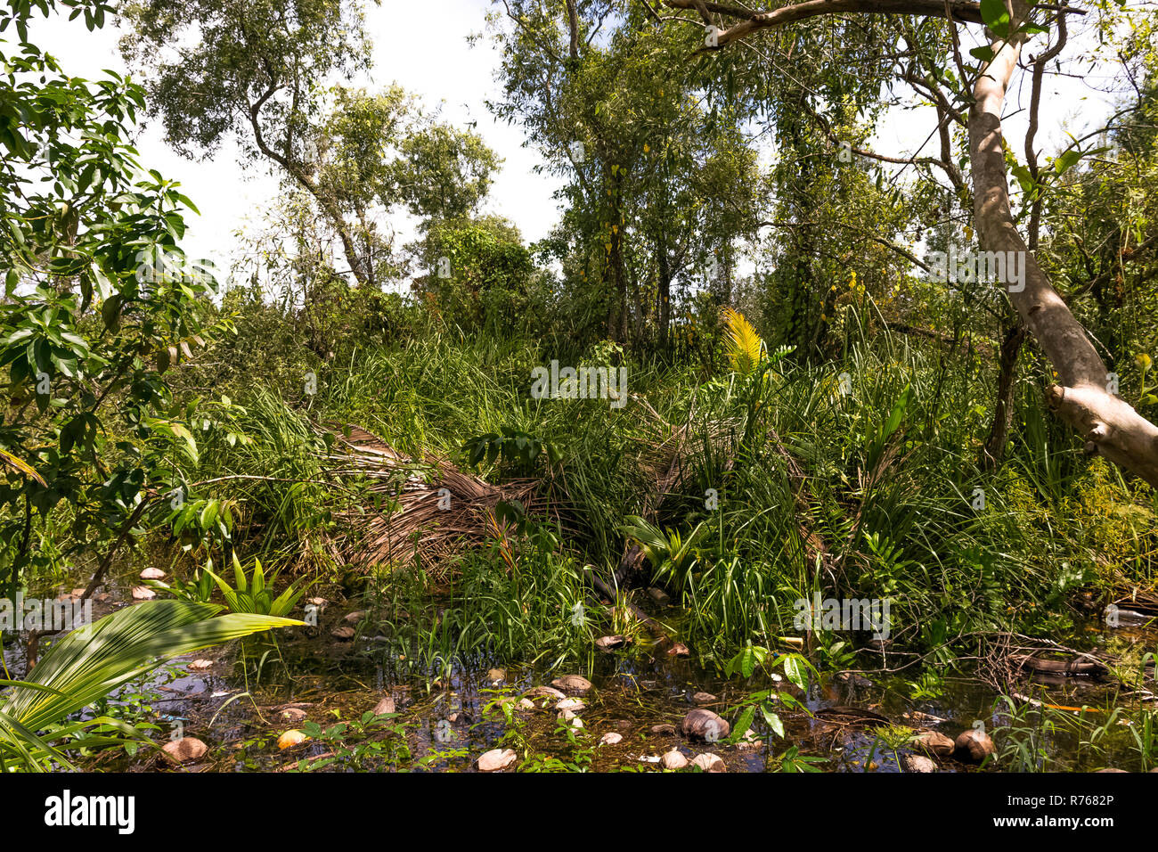 Zapata swamp national park hi-res stock photography and images - Alamy