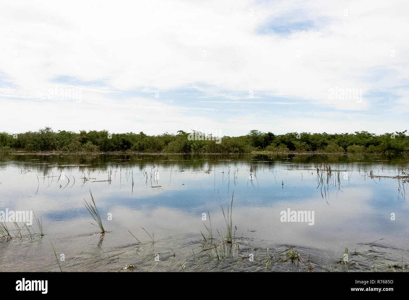 Zapata swamp national park hi-res stock photography and images - Alamy