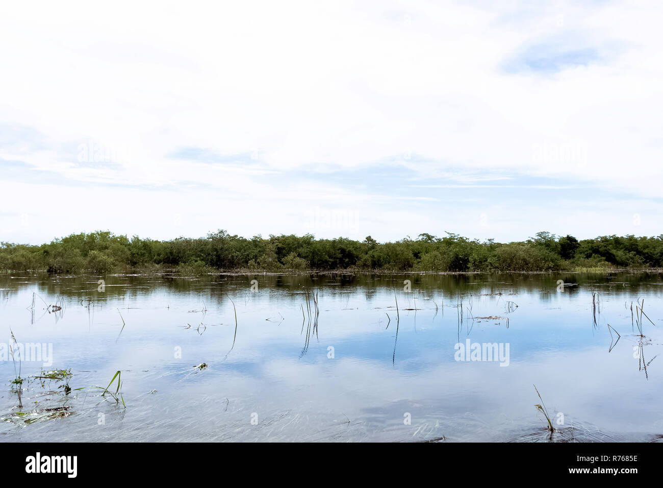 Cuban swamp - Peninsula de Zapata National Park / Zapata Swamp, Cuba ...