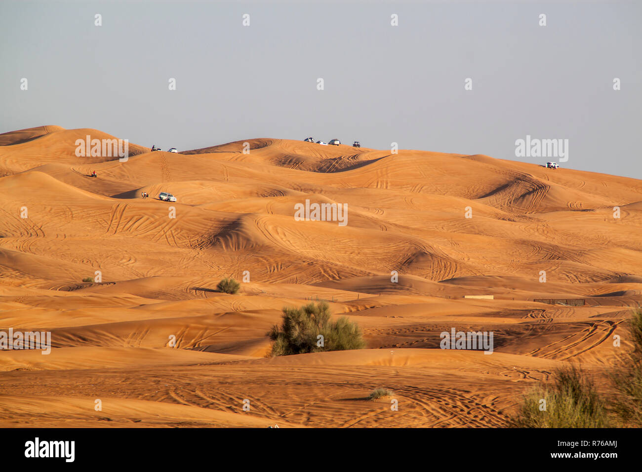 Desert landscape with trails from safari vehicles Stock Photo - Alamy