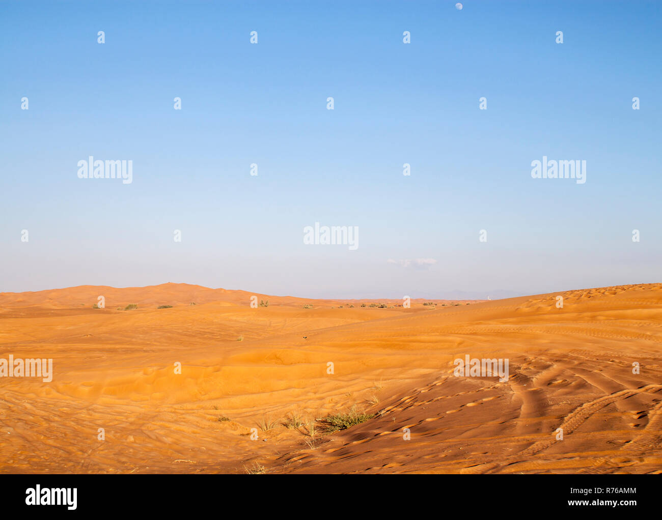Desert landscape with trails from safari vehicles Stock Photo - Alamy