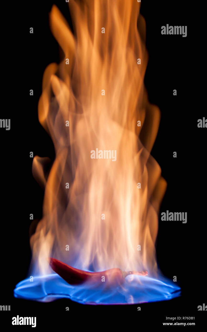 Hot pepper burning in blue flames Stock Photo - Alamy