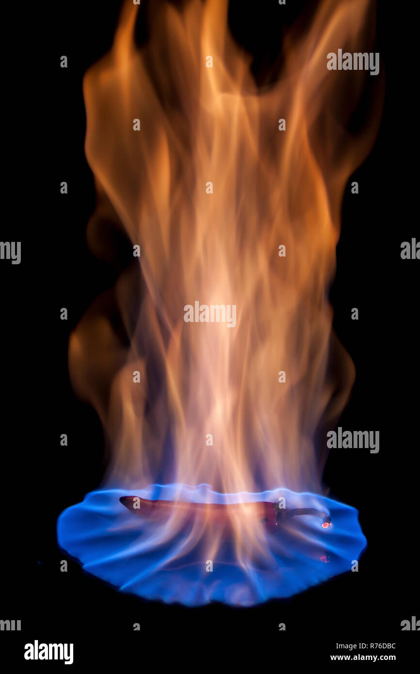 Hot pepper burning in blue flames Stock Photo - Alamy