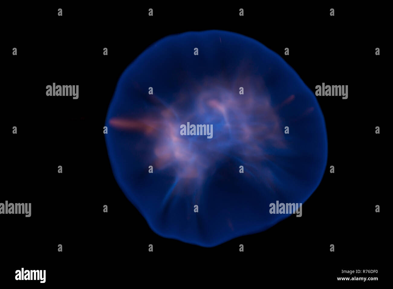 Fireball with blue flames isolated on black background Stock Photo - Alamy